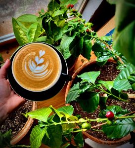 Home to the Best Coffee & Beer in SA - Refuge Coffee + Beer